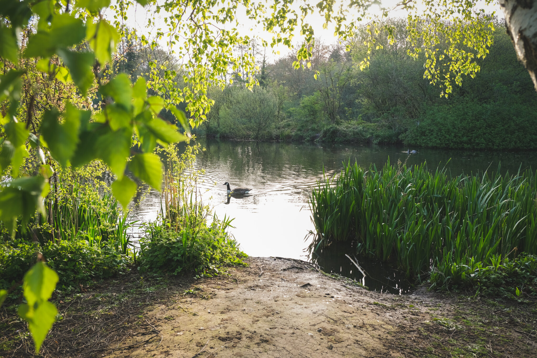 Finding Wellbeing in Nature | University of Warwick Science Park